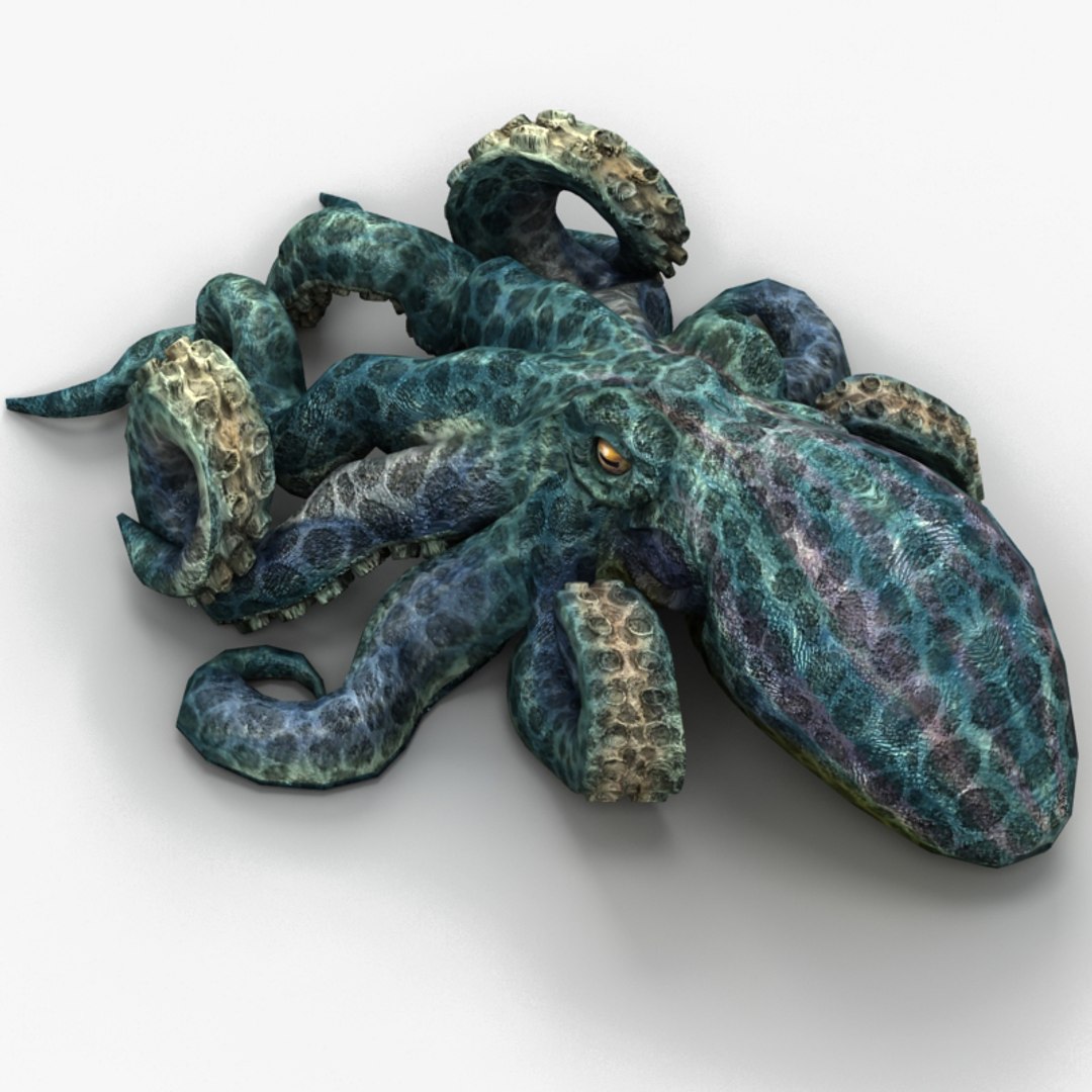 3d Model Of Octopus