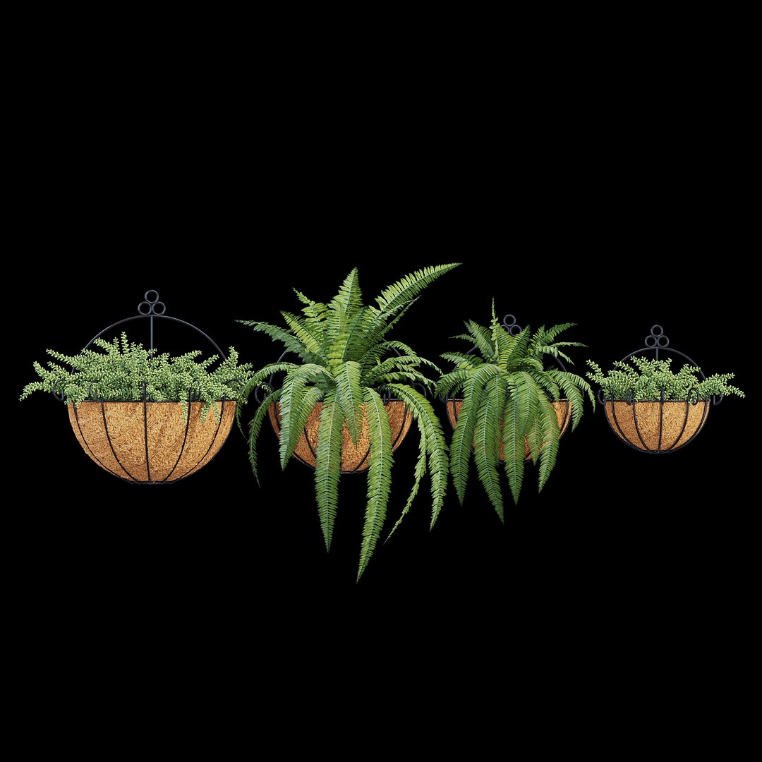 3D Rovive - TurboSquid 1947668