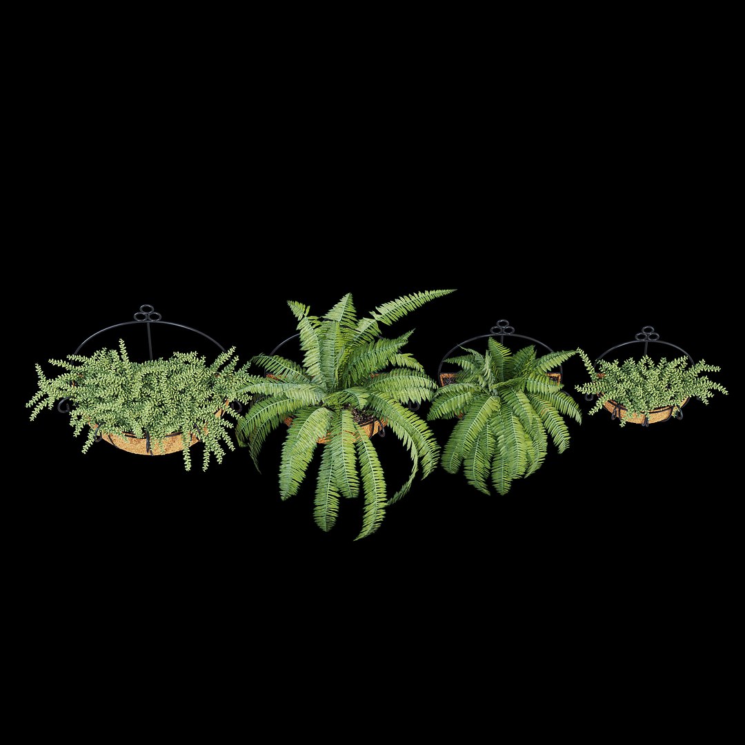 3D Rovive - TurboSquid 1947668