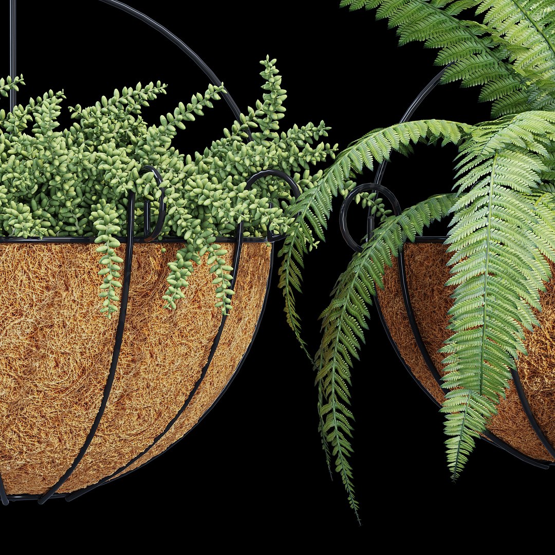 3D Rovive - TurboSquid 1947668