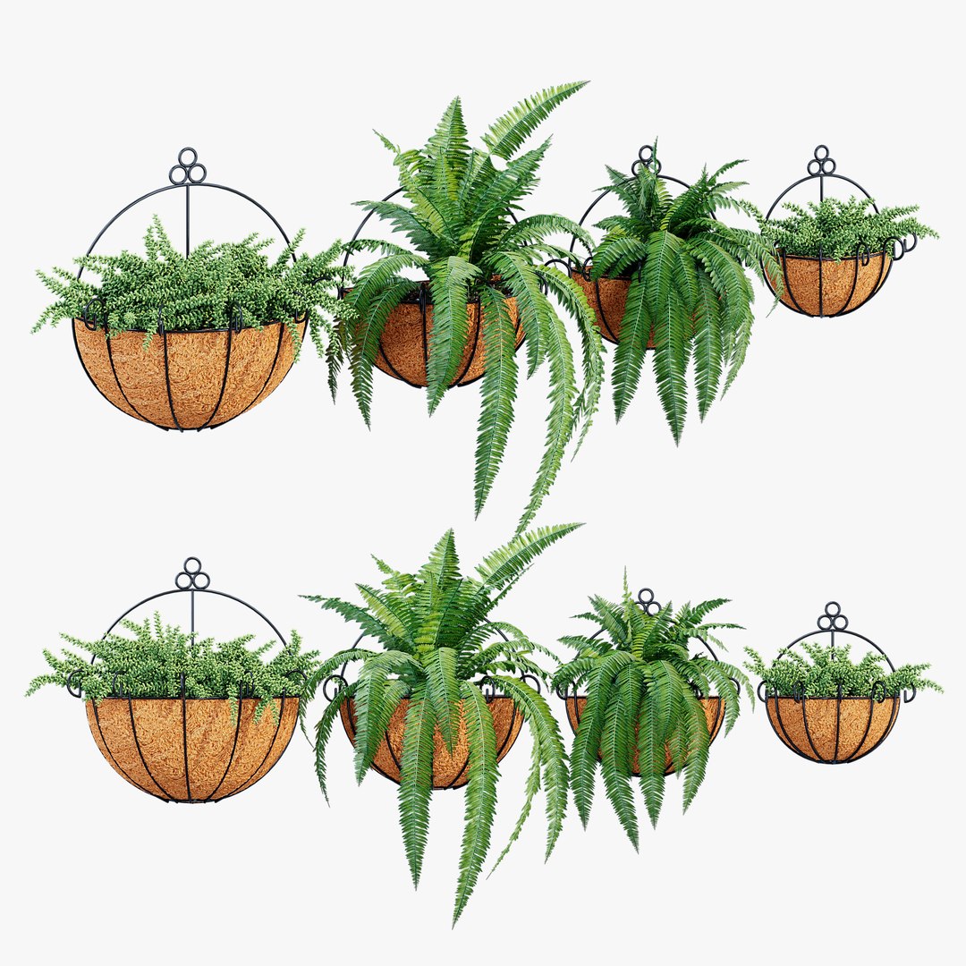 3D Rovive - TurboSquid 1947668