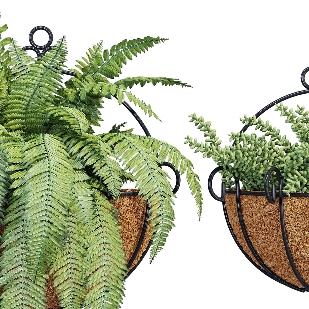 3D Rovive - TurboSquid 1947668