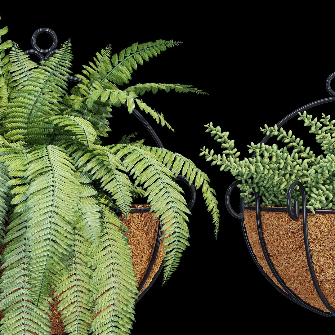 3D Rovive - TurboSquid 1947668