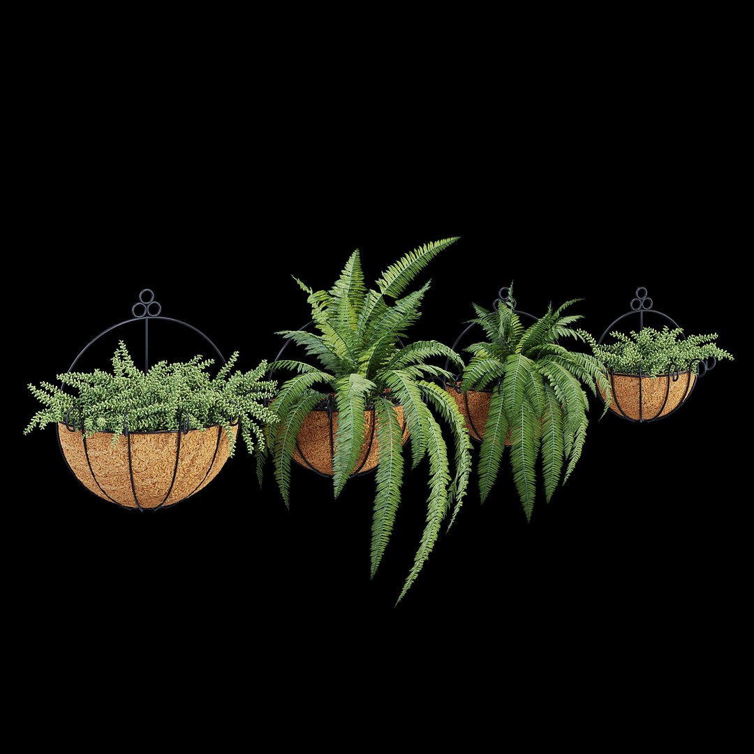 3D Rovive - TurboSquid 1947668