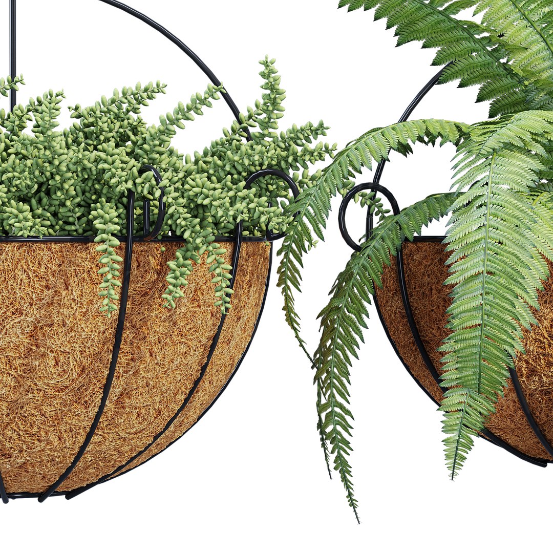 3D Rovive - TurboSquid 1947668