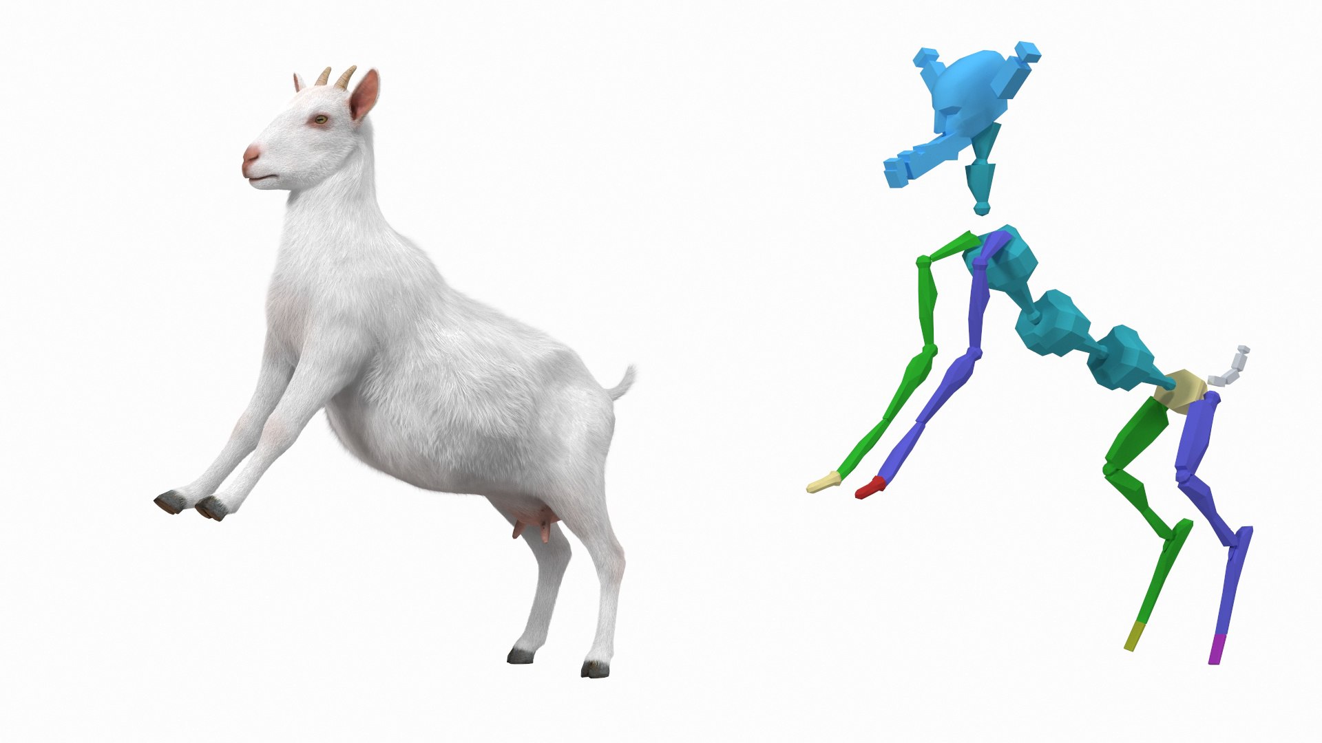 Goat Saanen Breed Rigged Fur 3D Model - TurboSquid 1991631