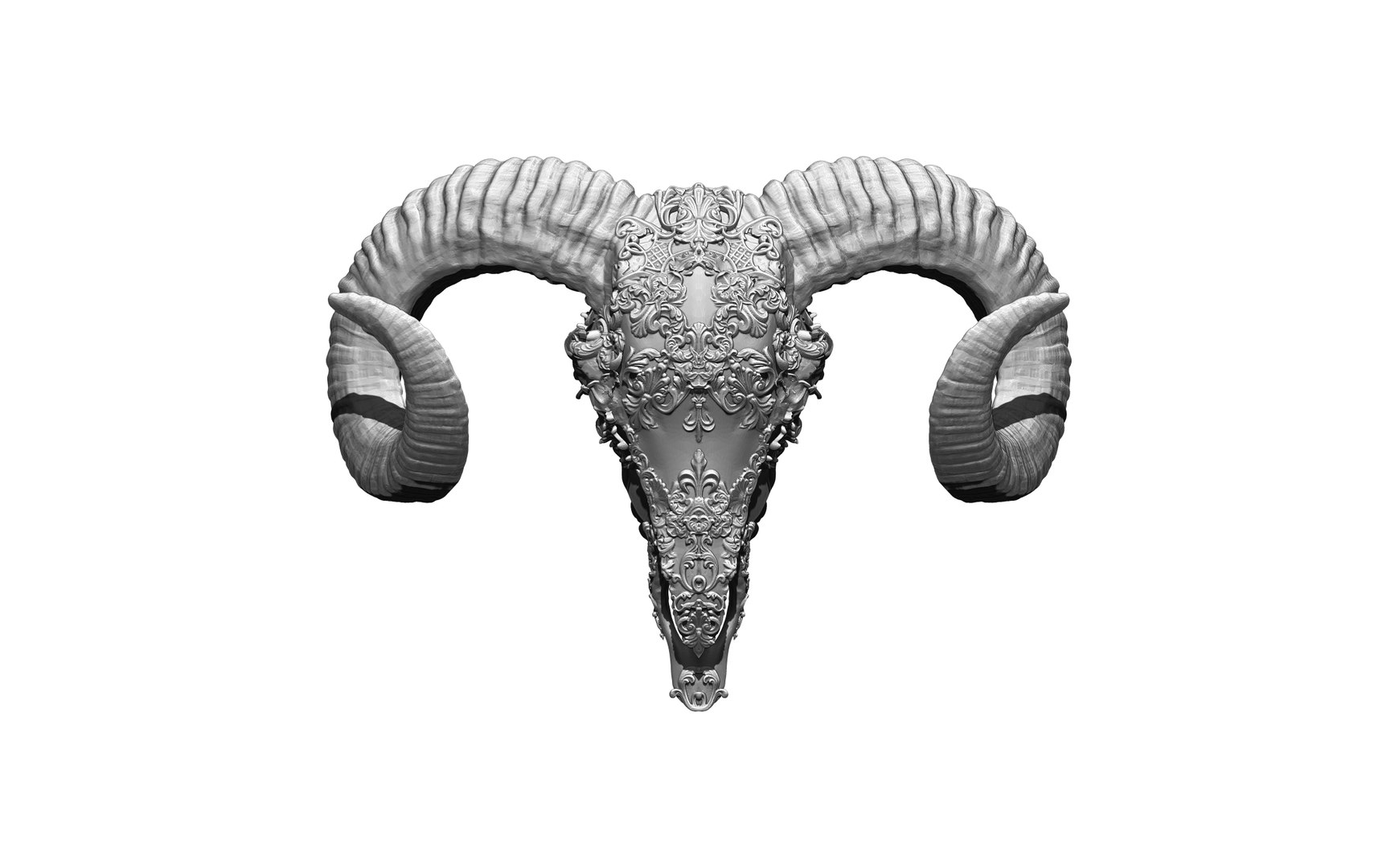 Pattern Bull Skeleton 3D Model - TurboSquid 2174015