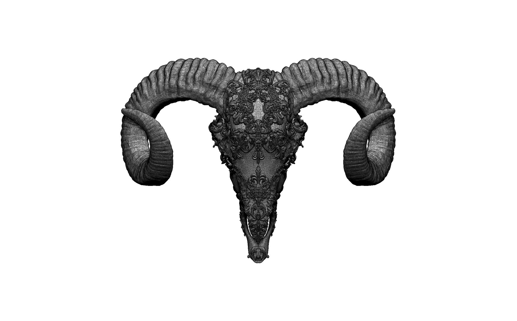 Pattern Bull Skeleton 3D Model - TurboSquid 2174015