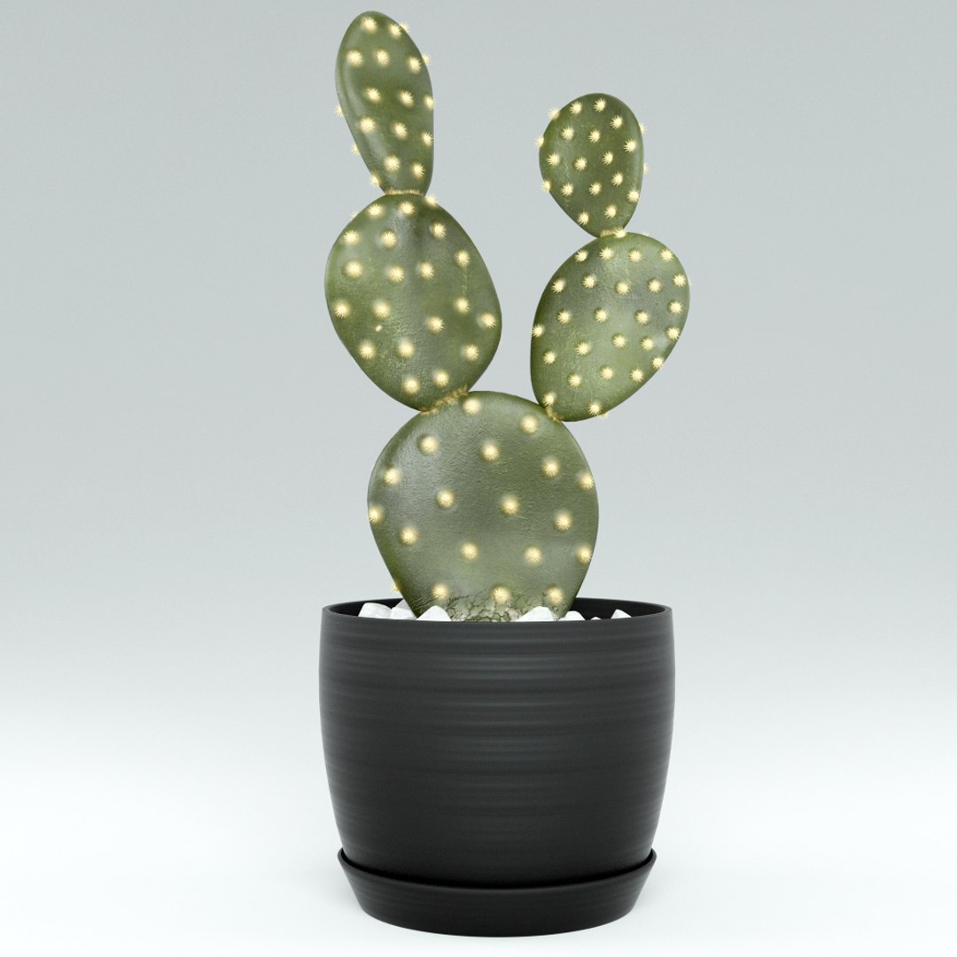 3d Cactus Pot Model