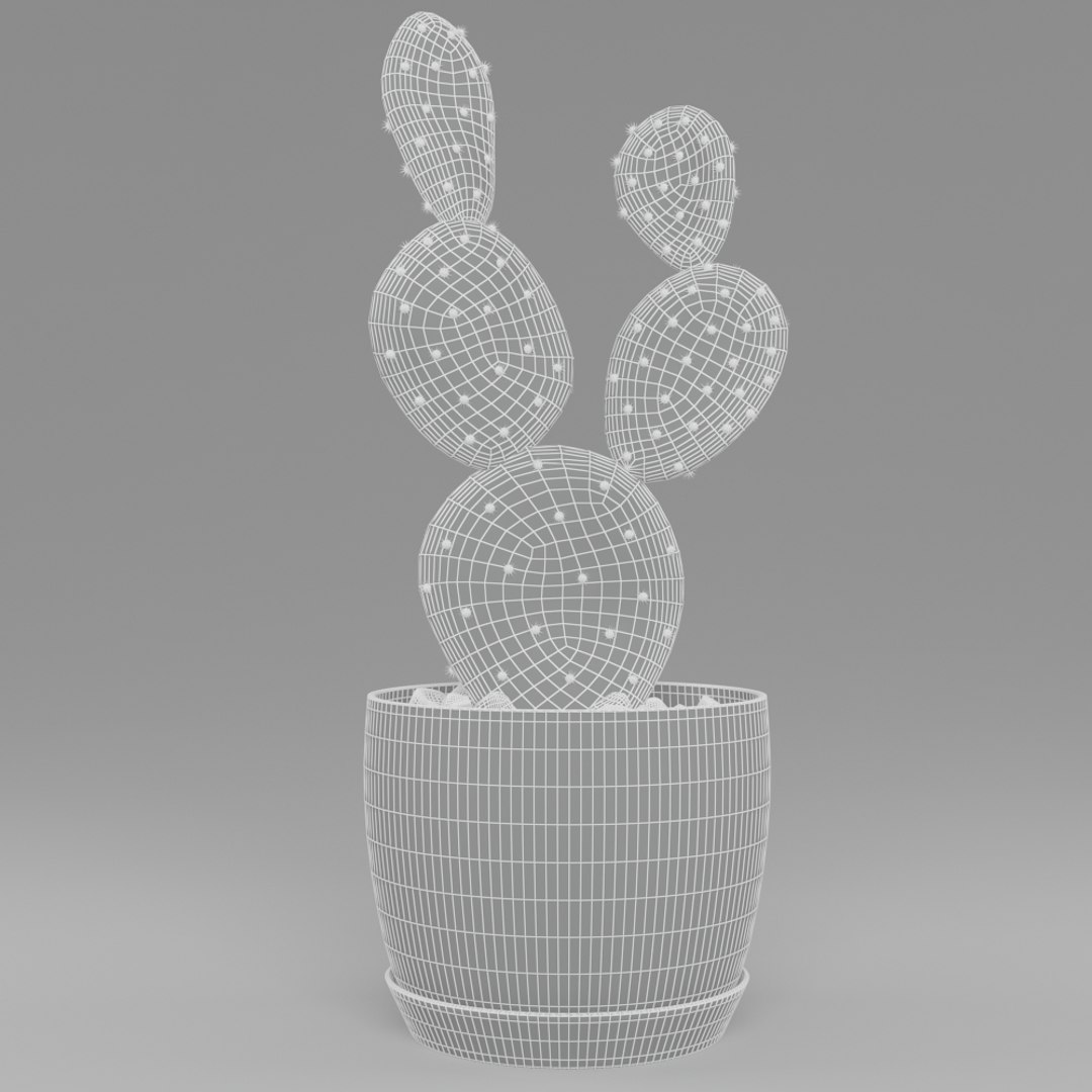 3d Cactus Pot Model