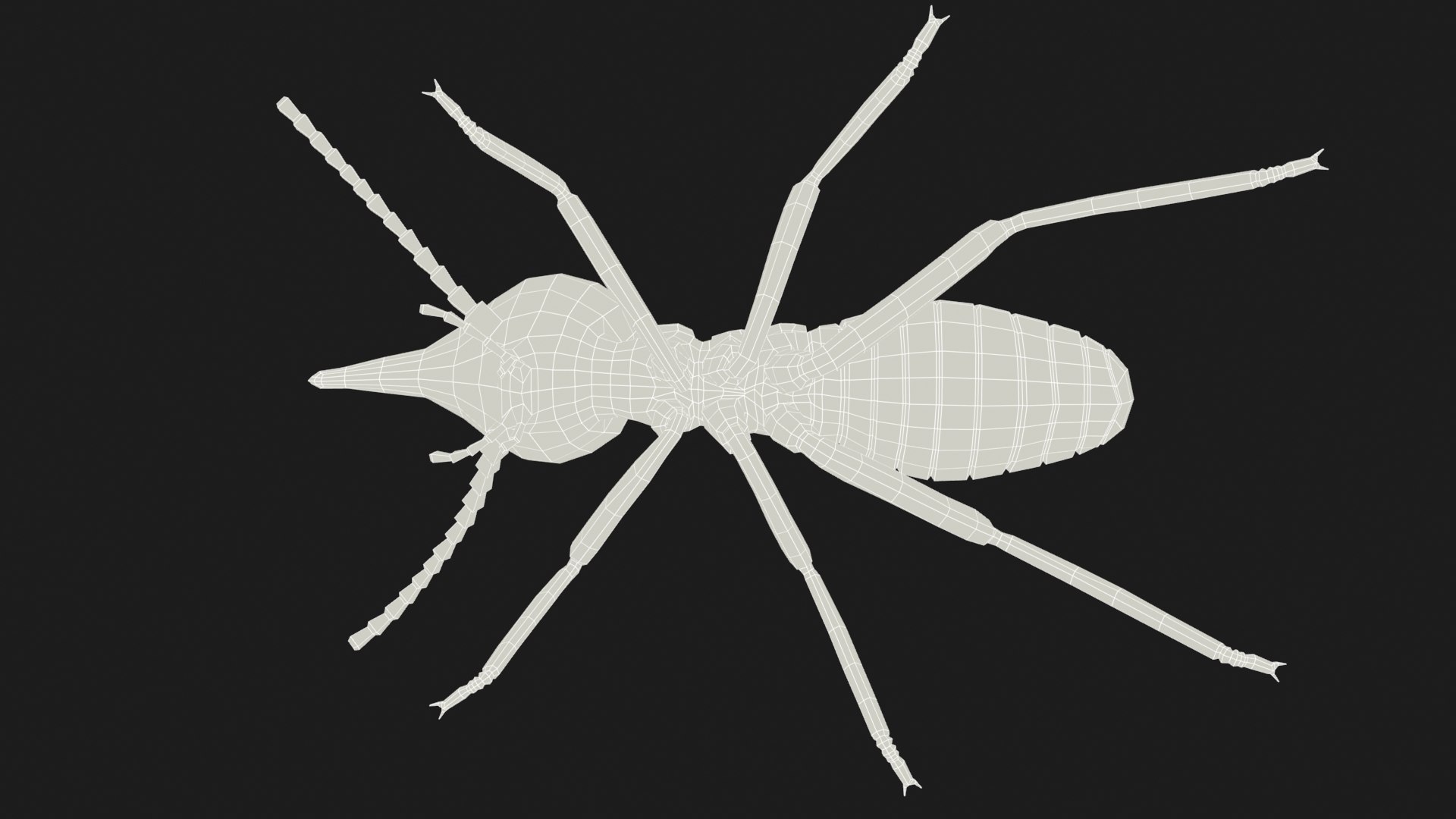 Nasute Termite 3D Model - TurboSquid 1850040