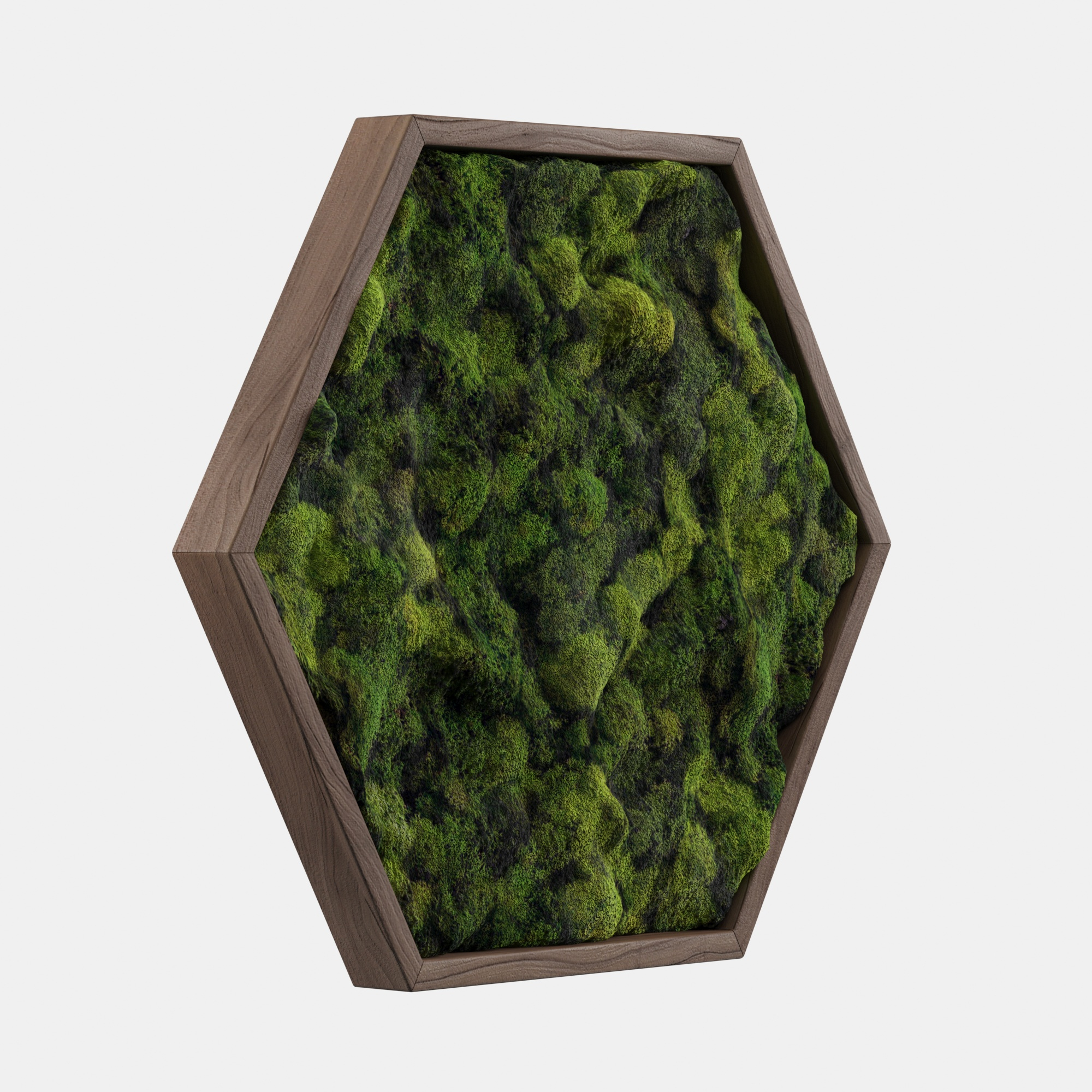 3D decorative moss - TurboSquid 1398670