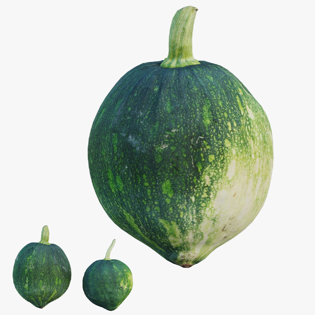 3D Kabocha Squash - TurboSquid 1903262