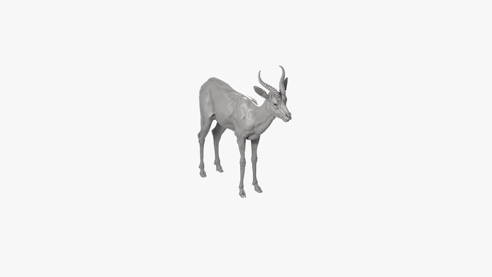 3D Springbok - TurboSquid 2243192