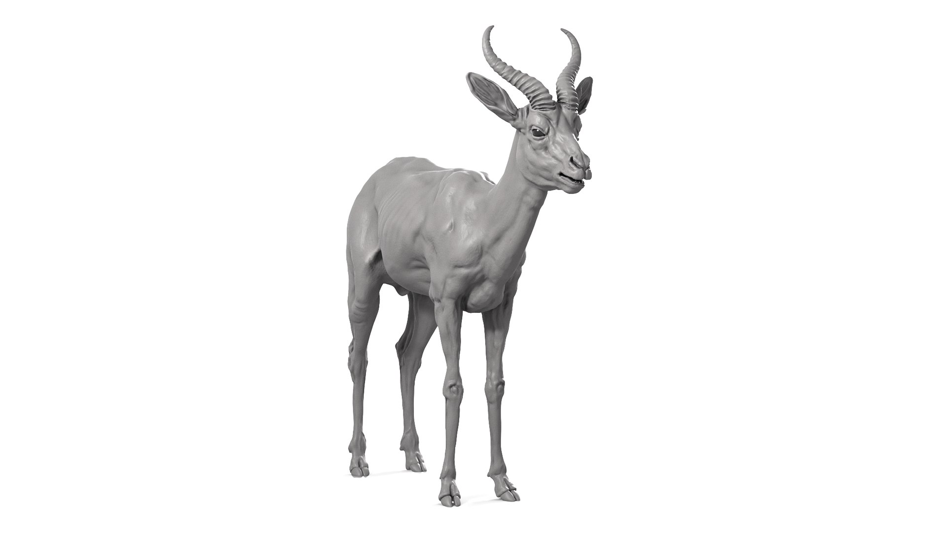 3D Springbok - TurboSquid 2243192