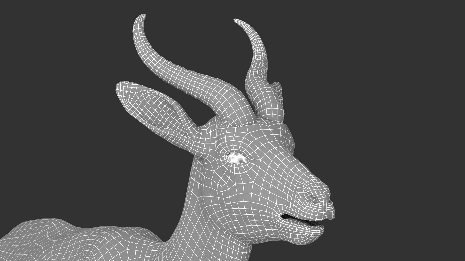 3D Springbok - TurboSquid 2243192