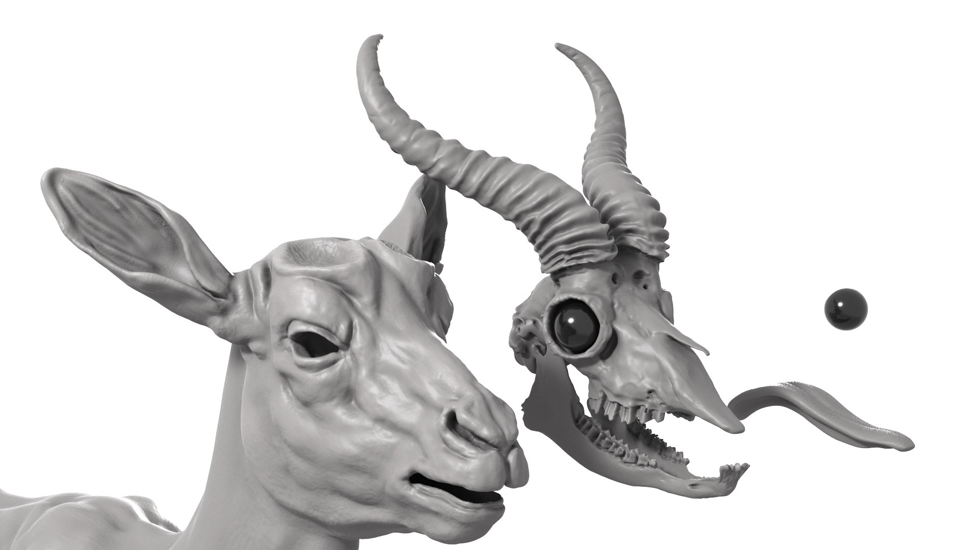 3D Springbok - TurboSquid 2243192