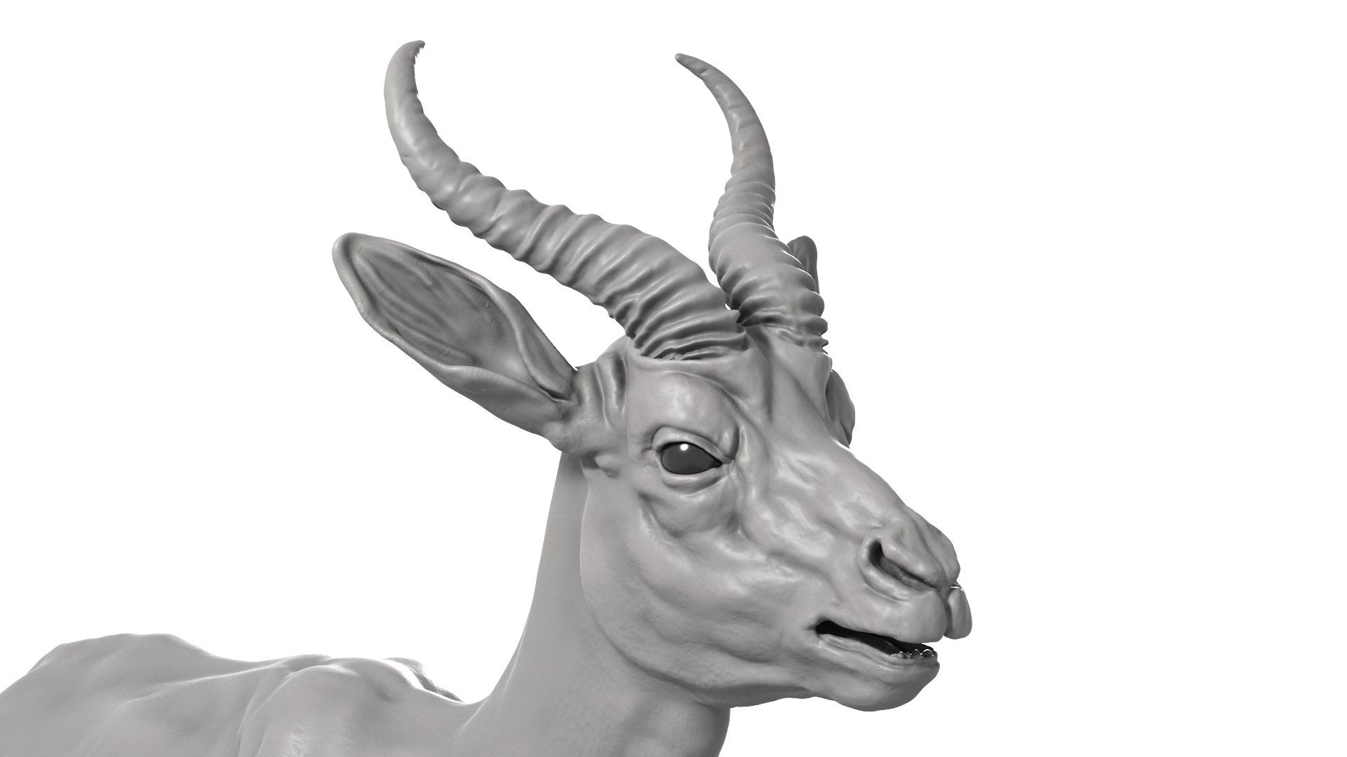 3D Springbok - TurboSquid 2243192