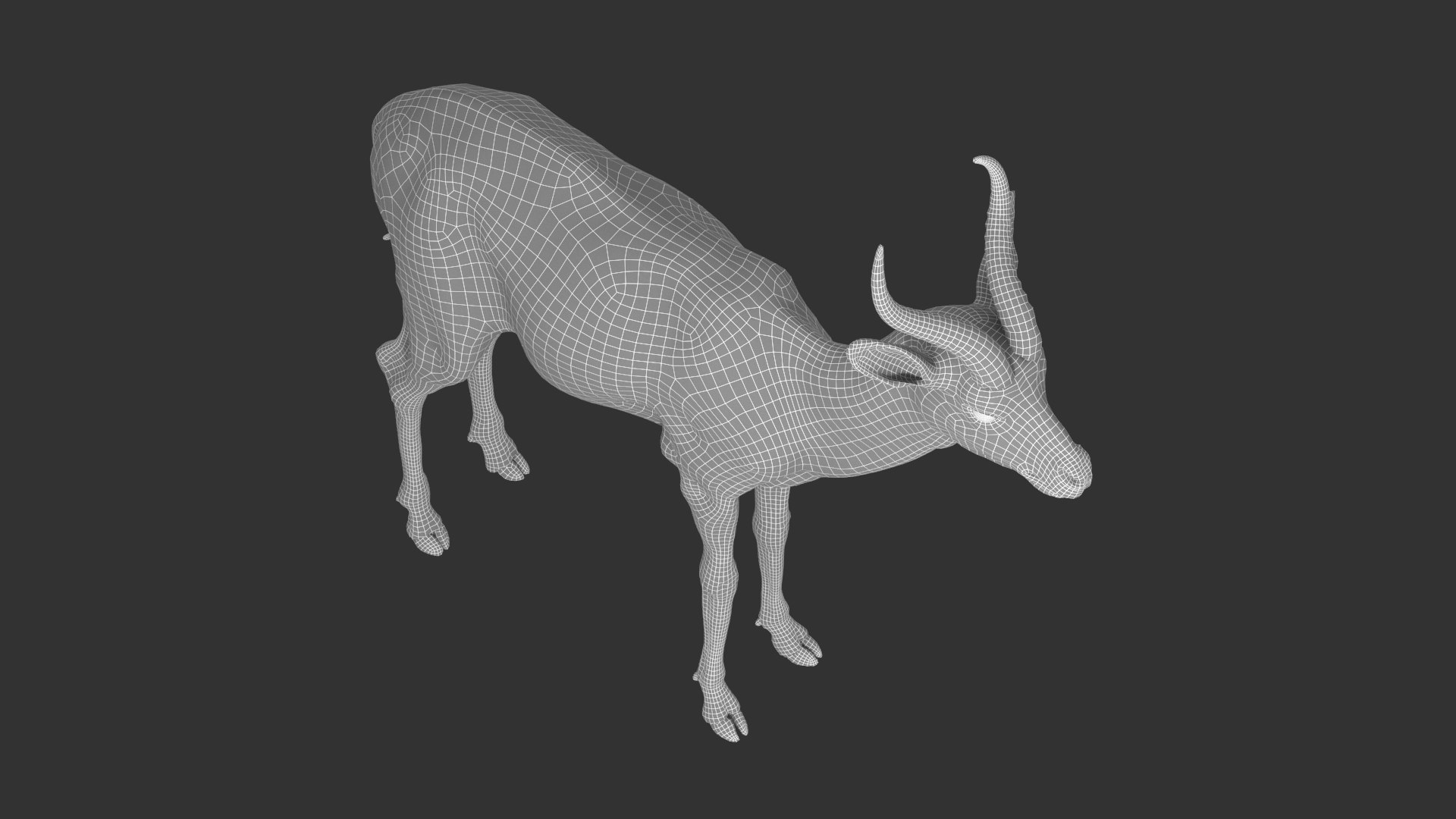 3D Springbok - TurboSquid 2243192