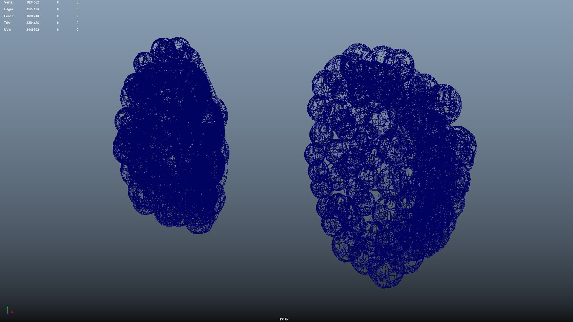 Lungs Alveoli Cross Section Model - TurboSquid 2187572
