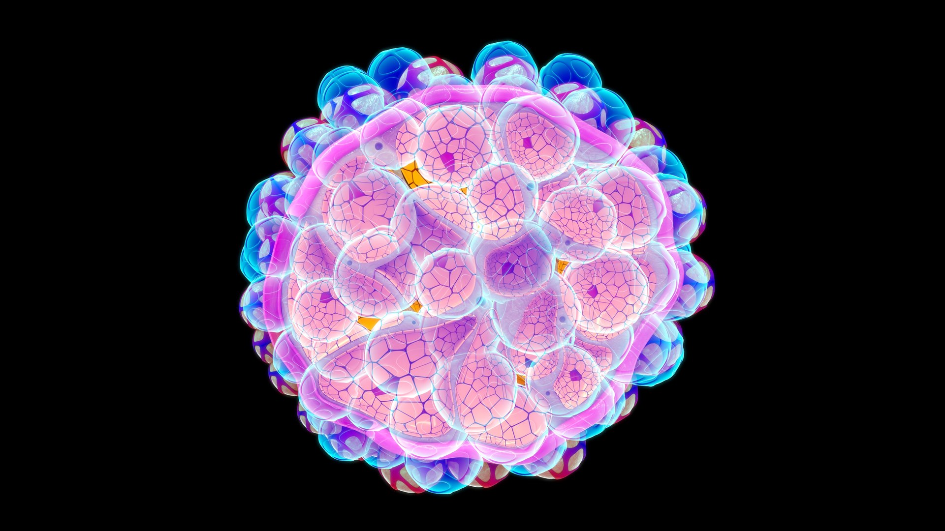 Lungs Alveoli Cross Section Model - TurboSquid 2187572