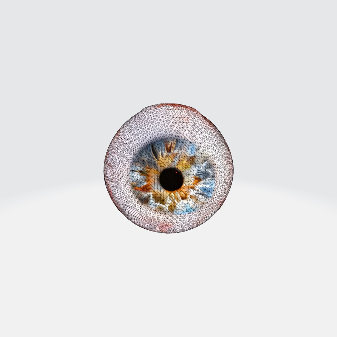 3D Realistic Human Eye Model - TurboSquid 2268511