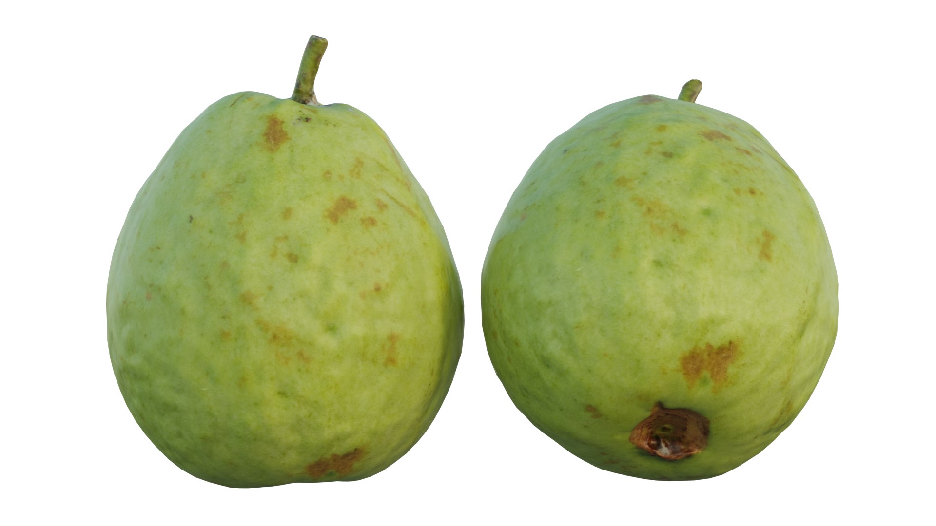 3D Guava 02 model - TurboSquid 1918161