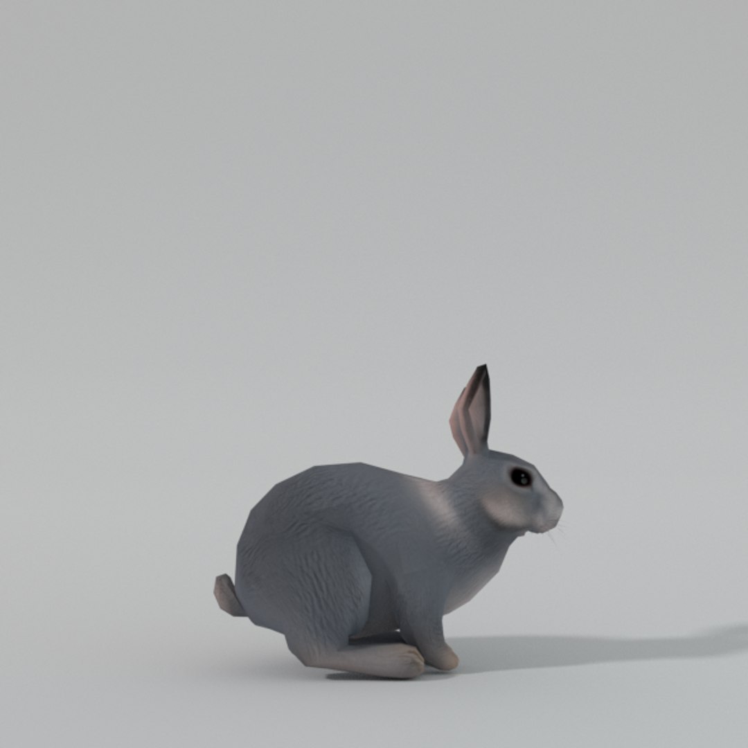 3D Model Rabbit - TurboSquid 1318857