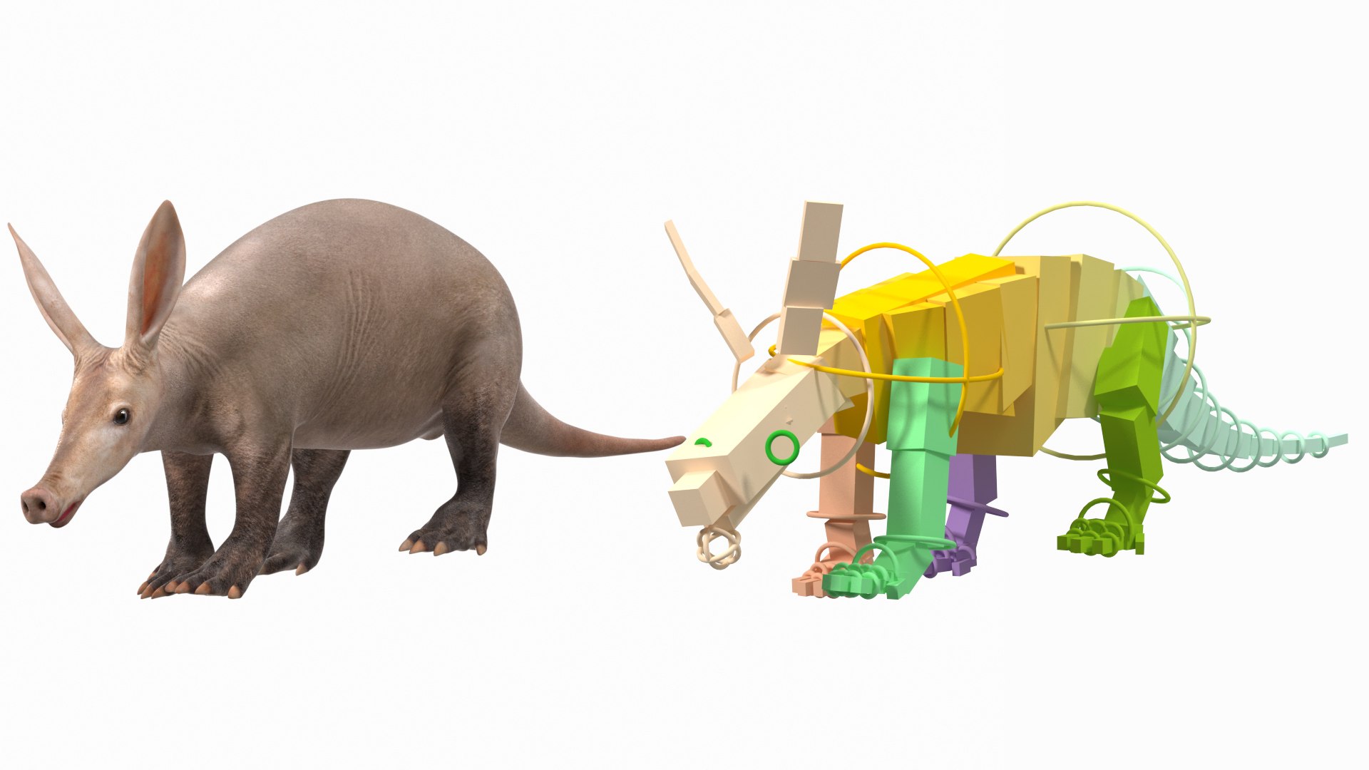 3D Model Orycteropus Afer Rigged - TurboSquid 2197399
