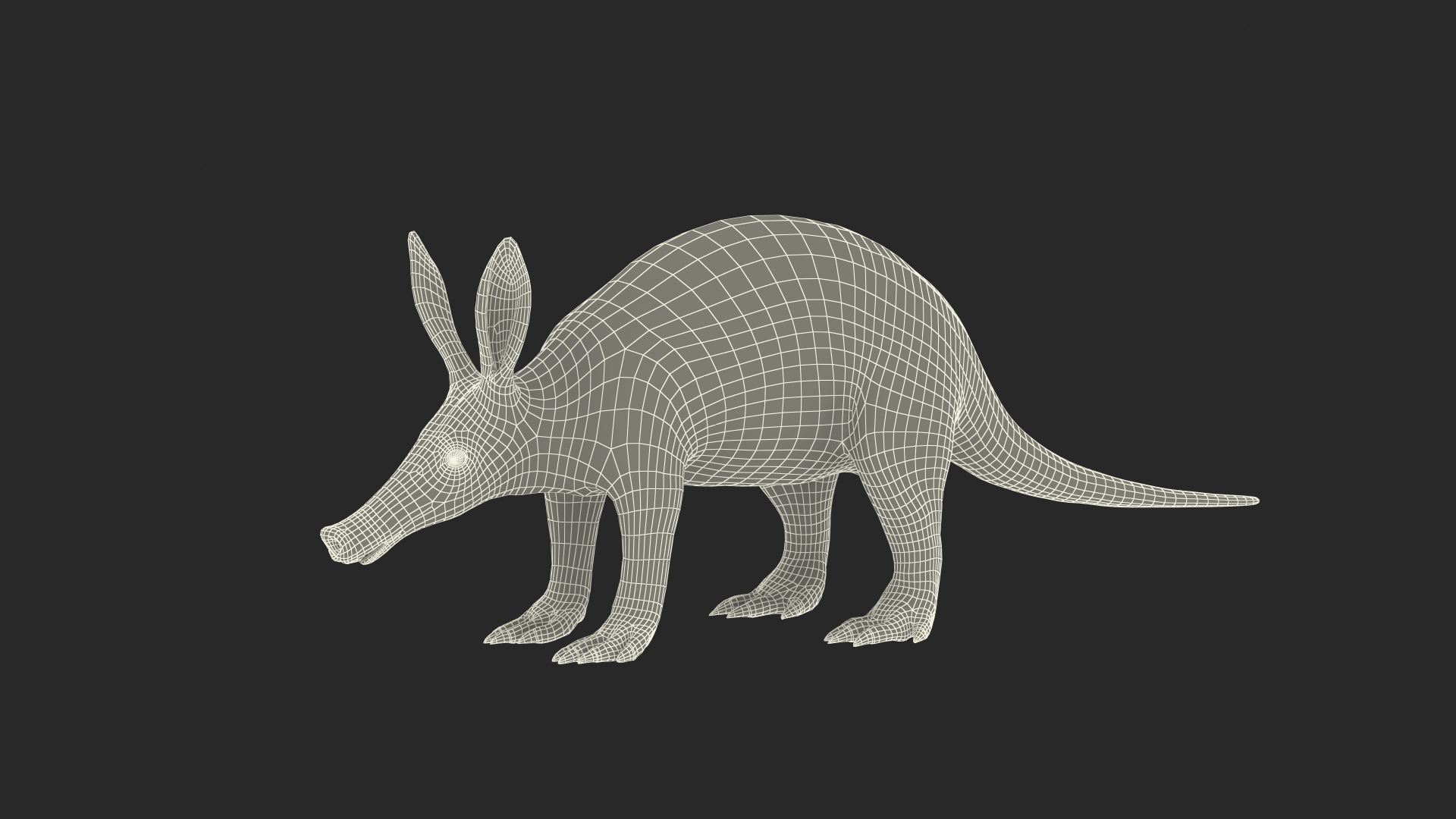 3D Model Orycteropus Afer Rigged - TurboSquid 2197399