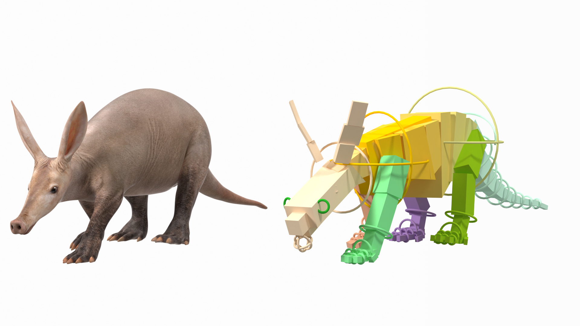 3D Model Orycteropus Afer Rigged - TurboSquid 2197399