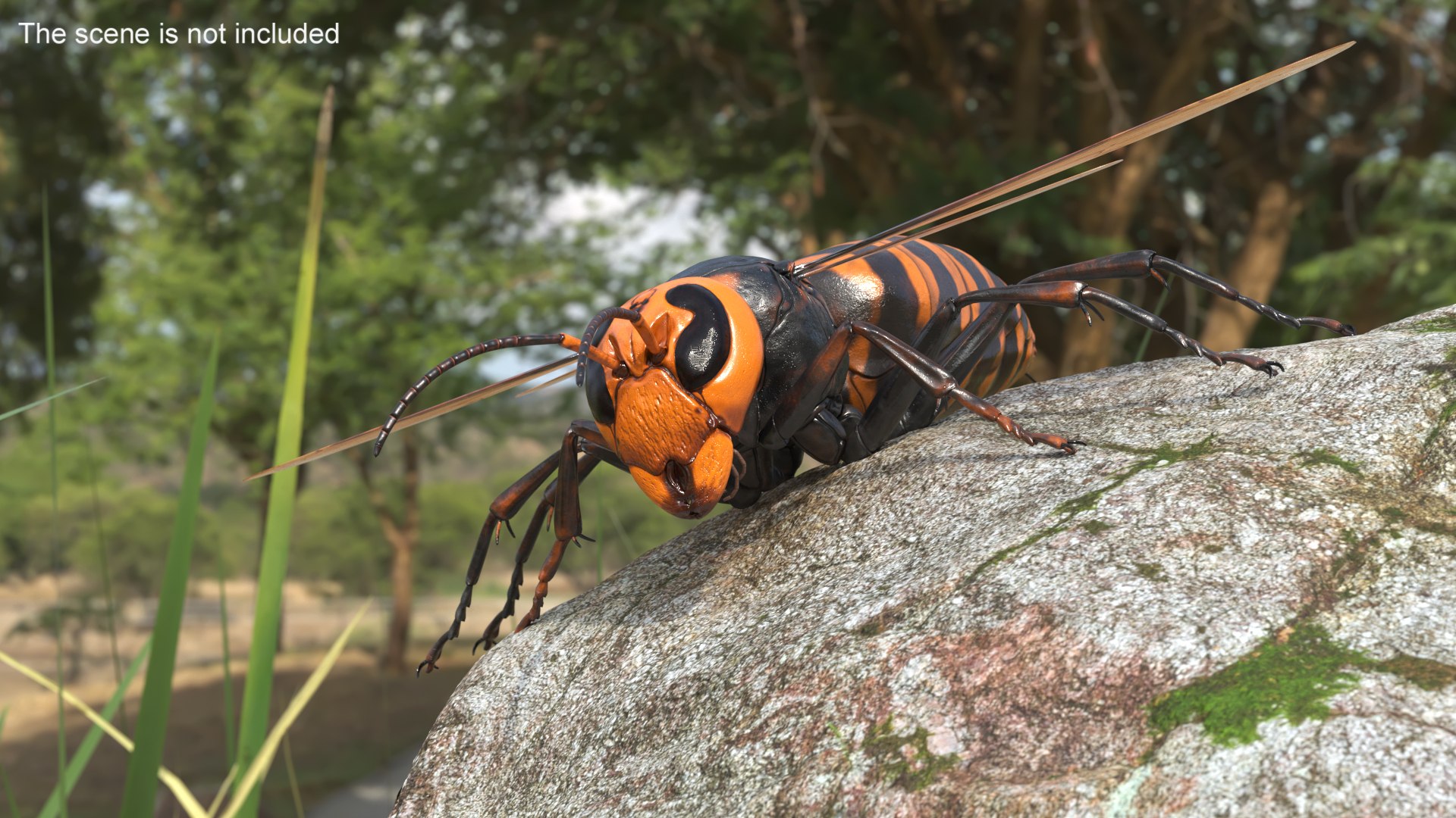 3D Giant Asian Hornet Basic Pose - TurboSquid 2274441