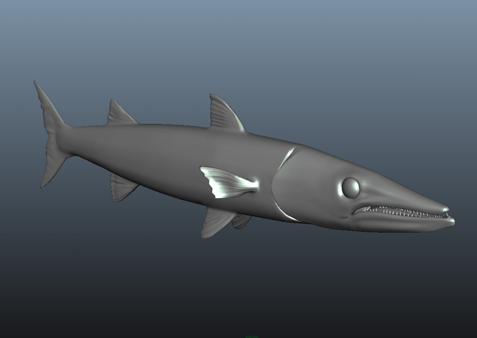 Maya Animation Barracuda