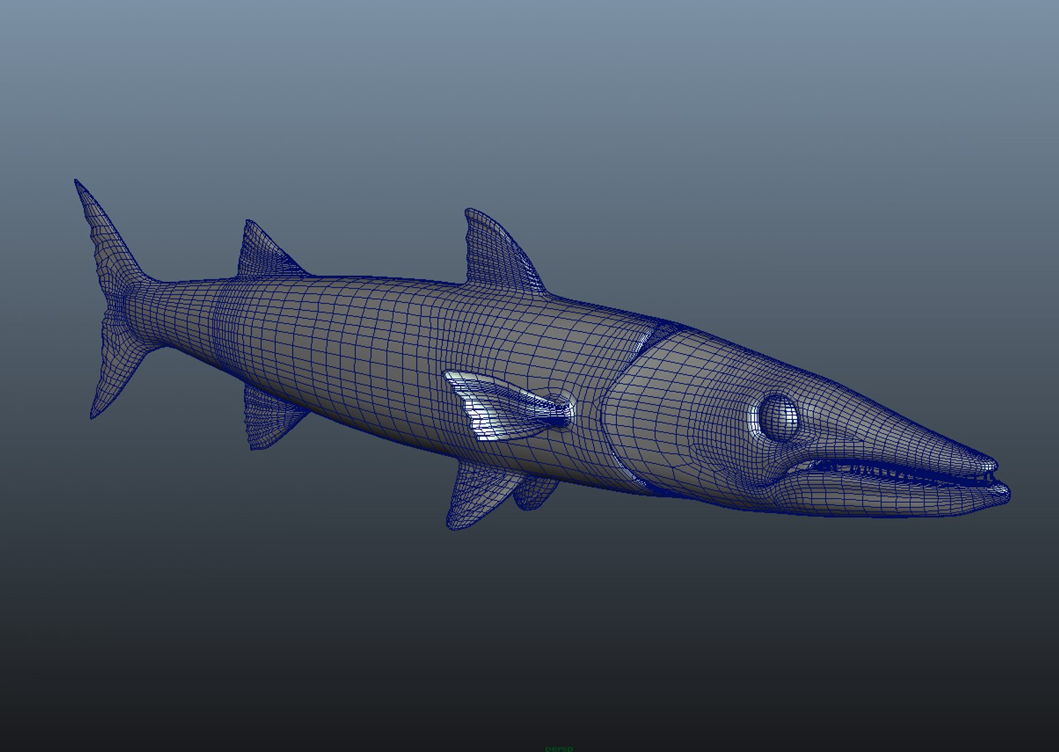 Maya Animation Barracuda