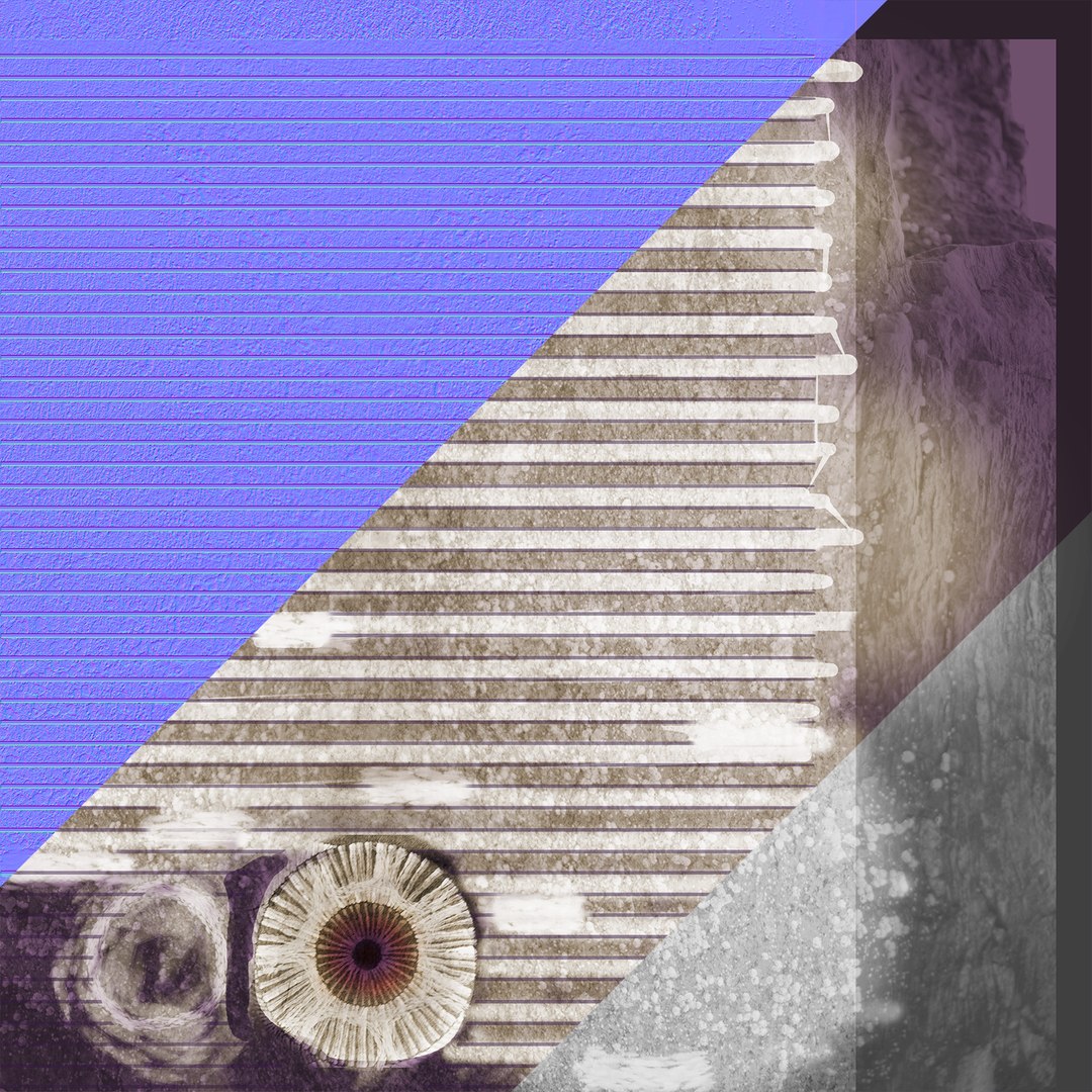 Starfish Alien Creature 3d Fbx