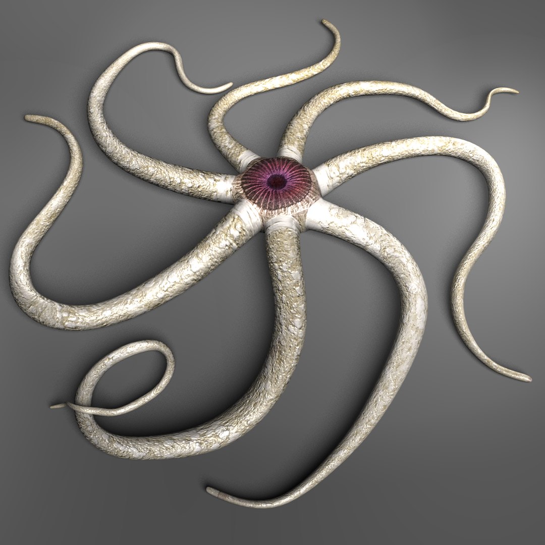 starfish alien creature 3d fbx