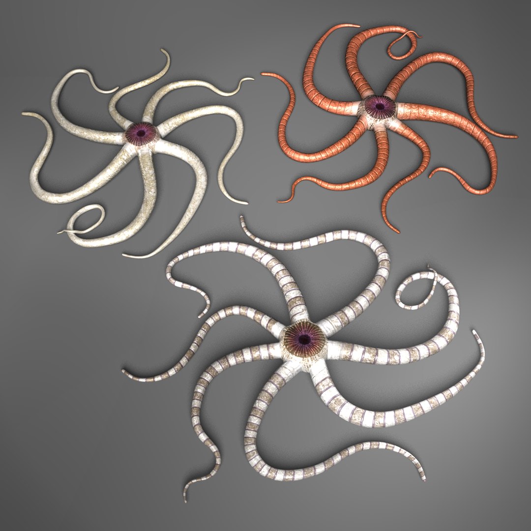 Starfish Alien Creature 3d Fbx