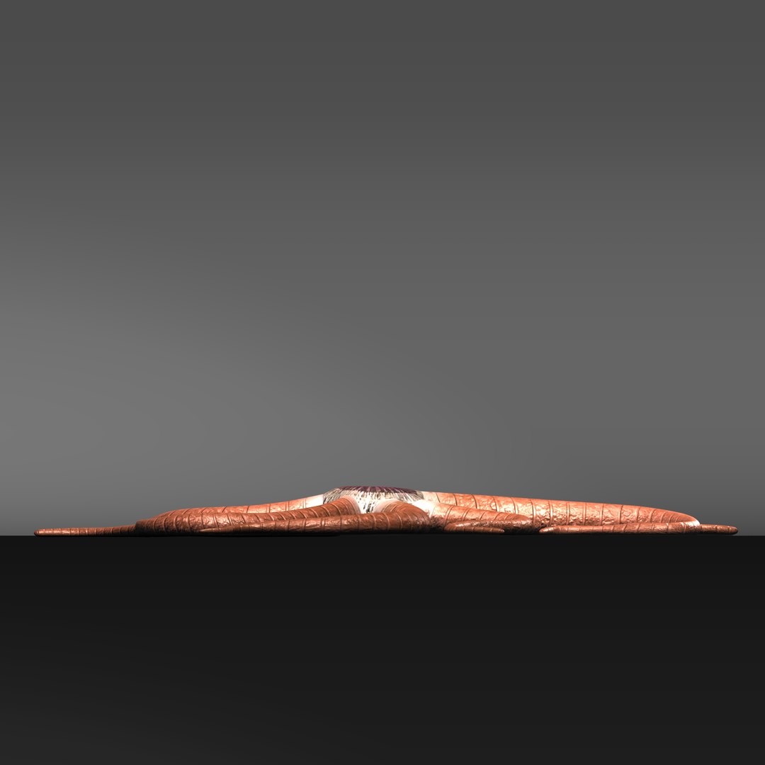 Starfish Alien Creature 3d Fbx