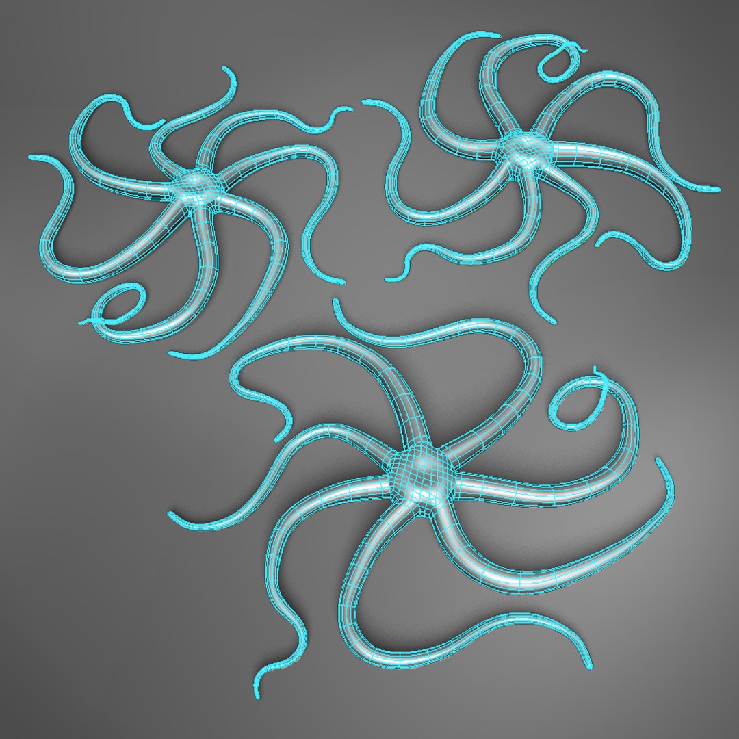 Starfish Alien Creature 3d Fbx
