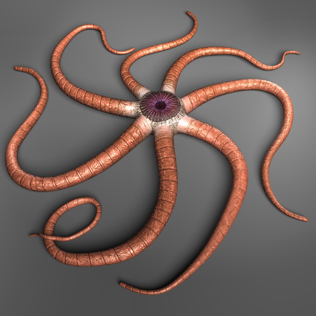 Starfish Alien Creature 3d Fbx