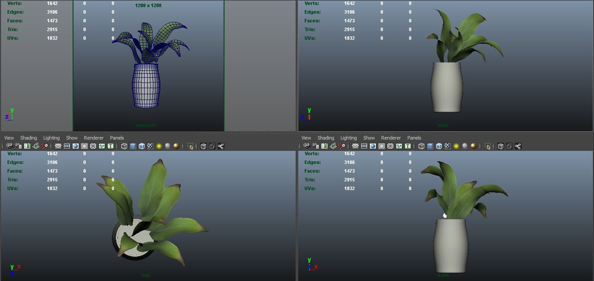 3d Model Plant
