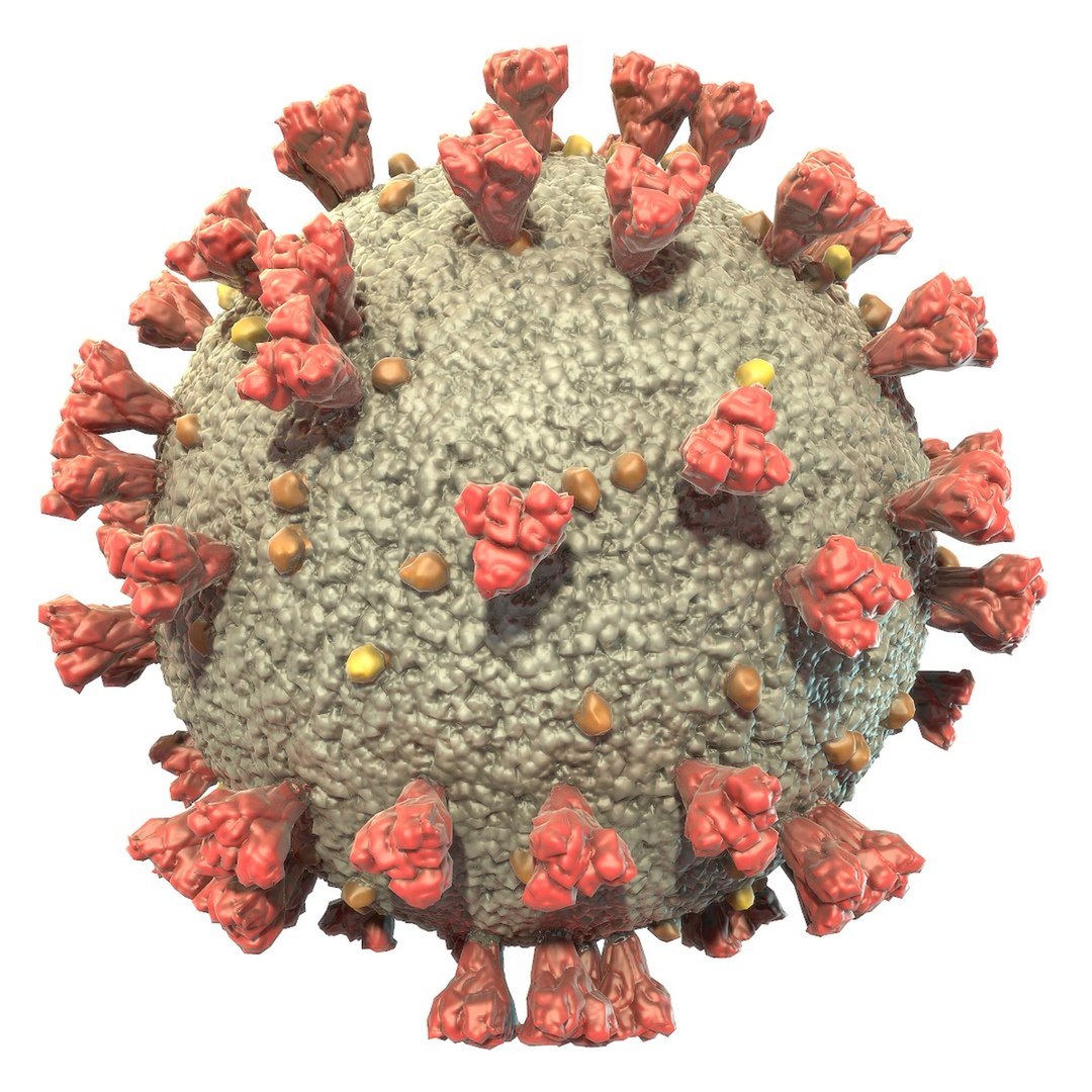 Coronavirus 3D Covid-19 Virus Sars Model Model - TurboSquid 2177249