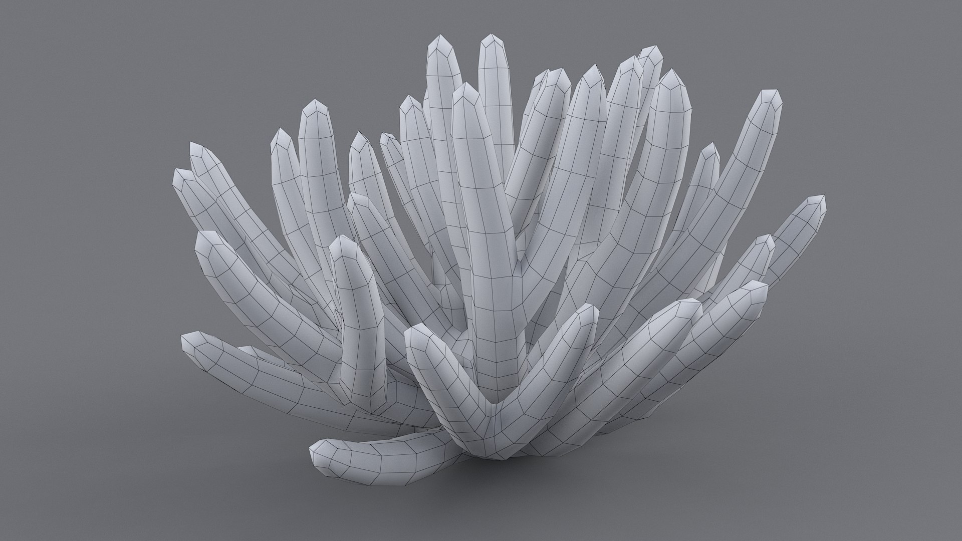 Acropora Coral 3D Model - TurboSquid 1477055