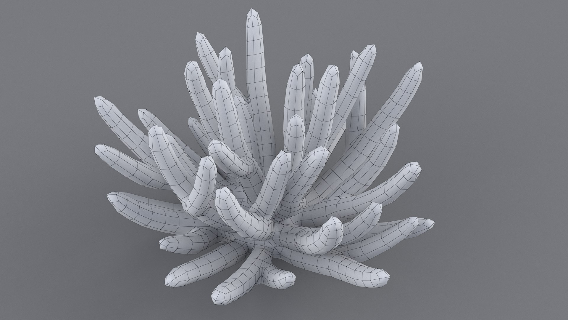 Acropora coral 3D model - TurboSquid 1477055