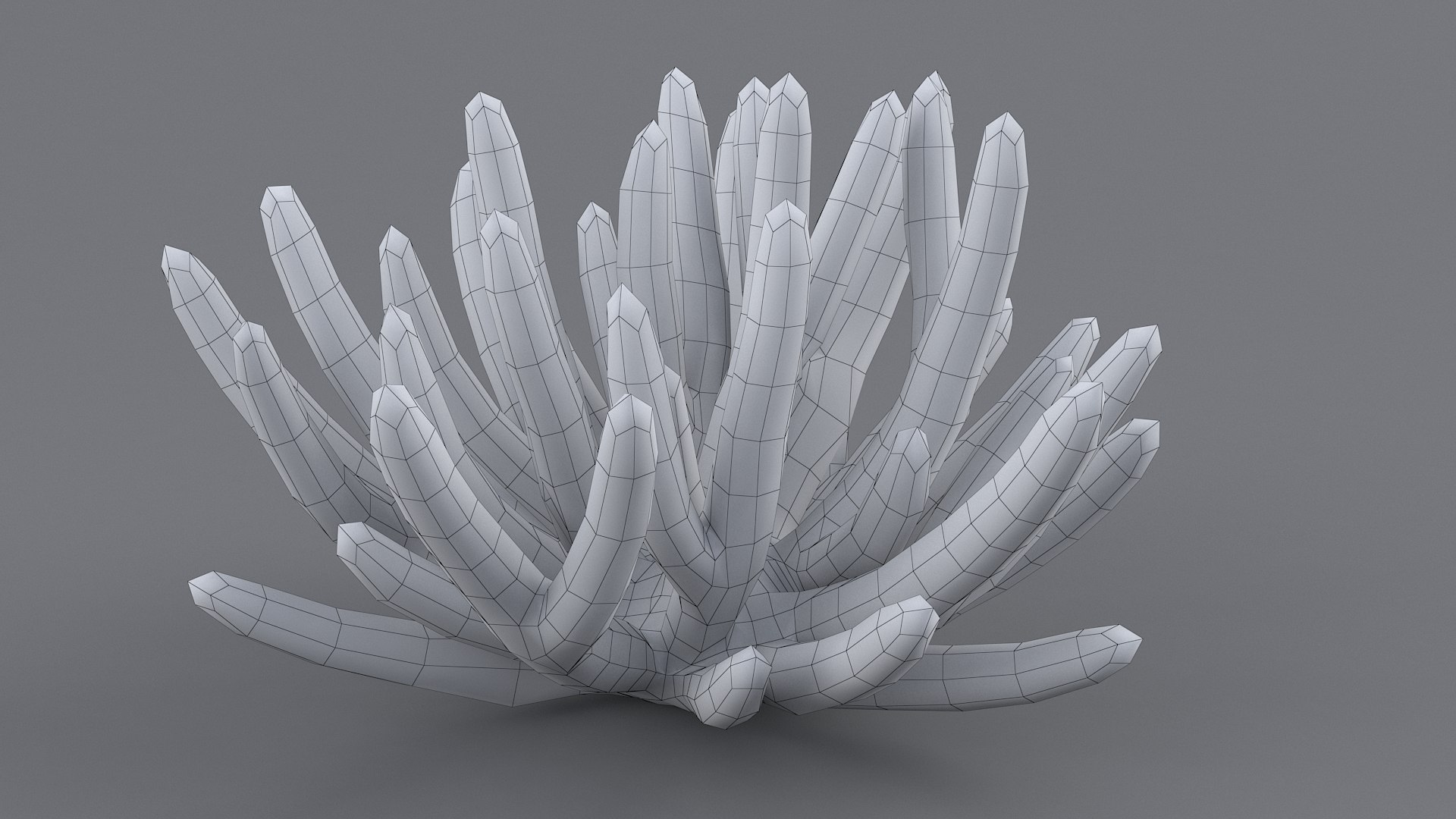 Acropora coral 3D model - TurboSquid 1477055