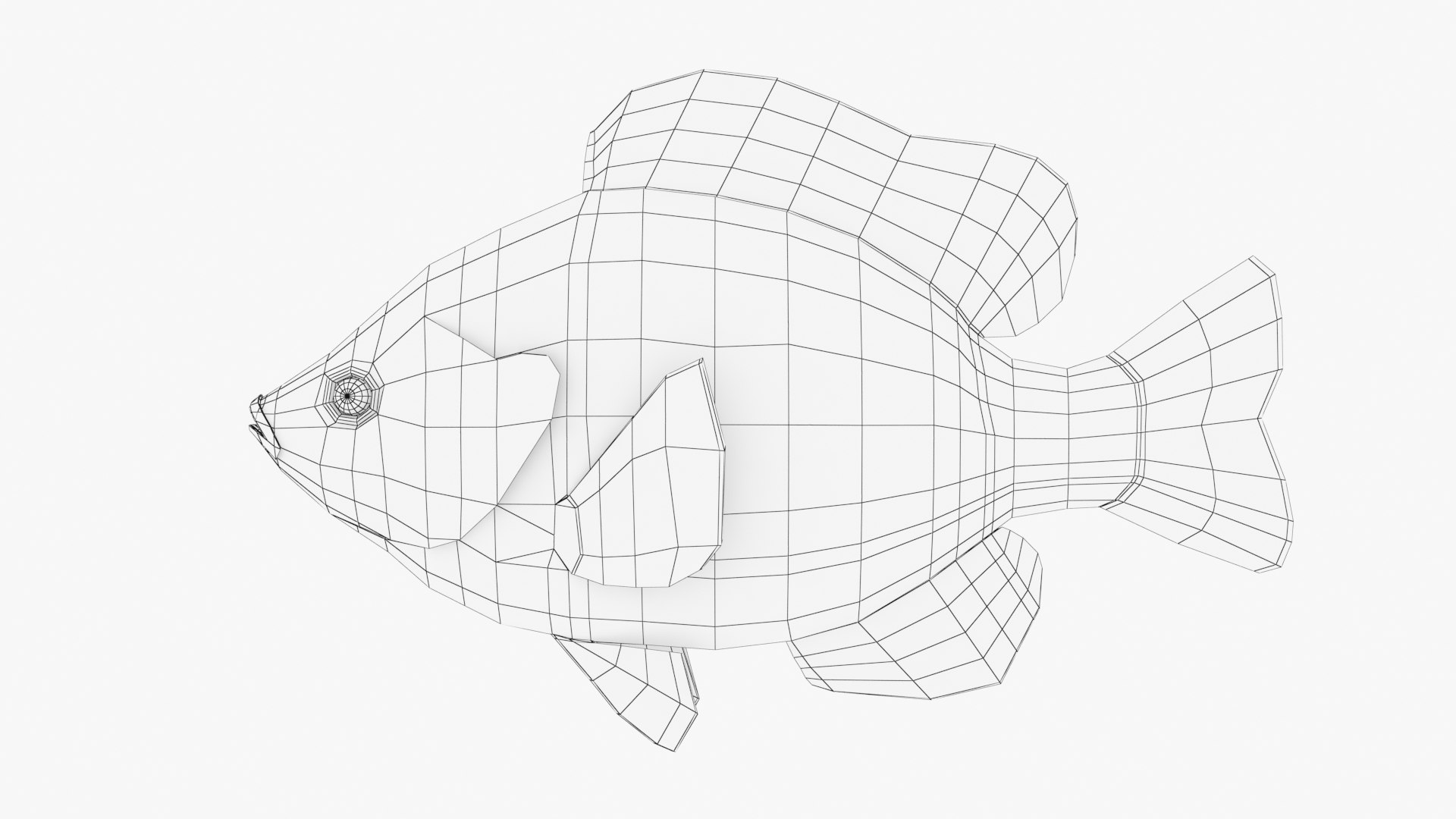 3D Model Redear Sunfish - TurboSquid 2075691