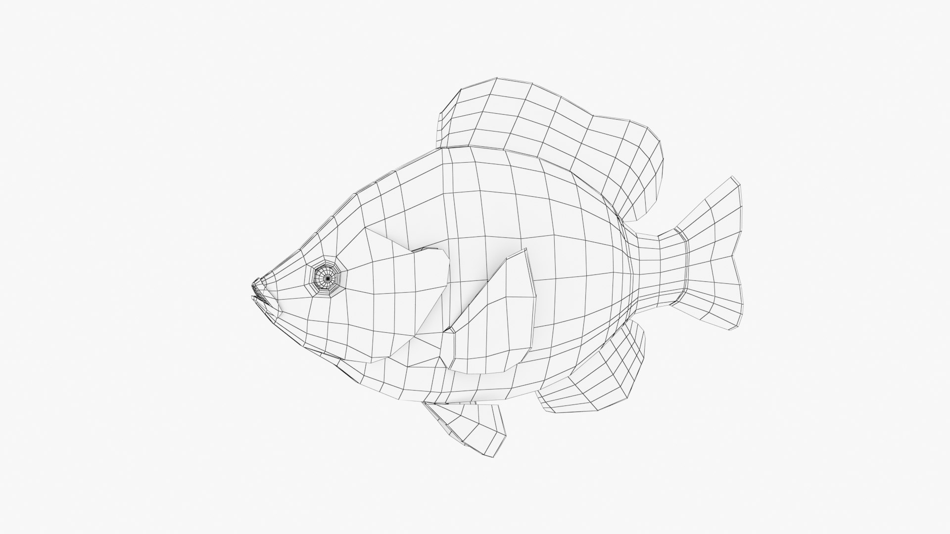 3D Model Redear Sunfish - TurboSquid 2075691