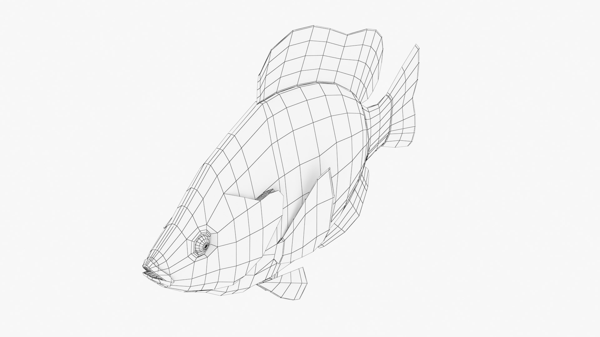 3D Model Redear Sunfish - TurboSquid 2075691
