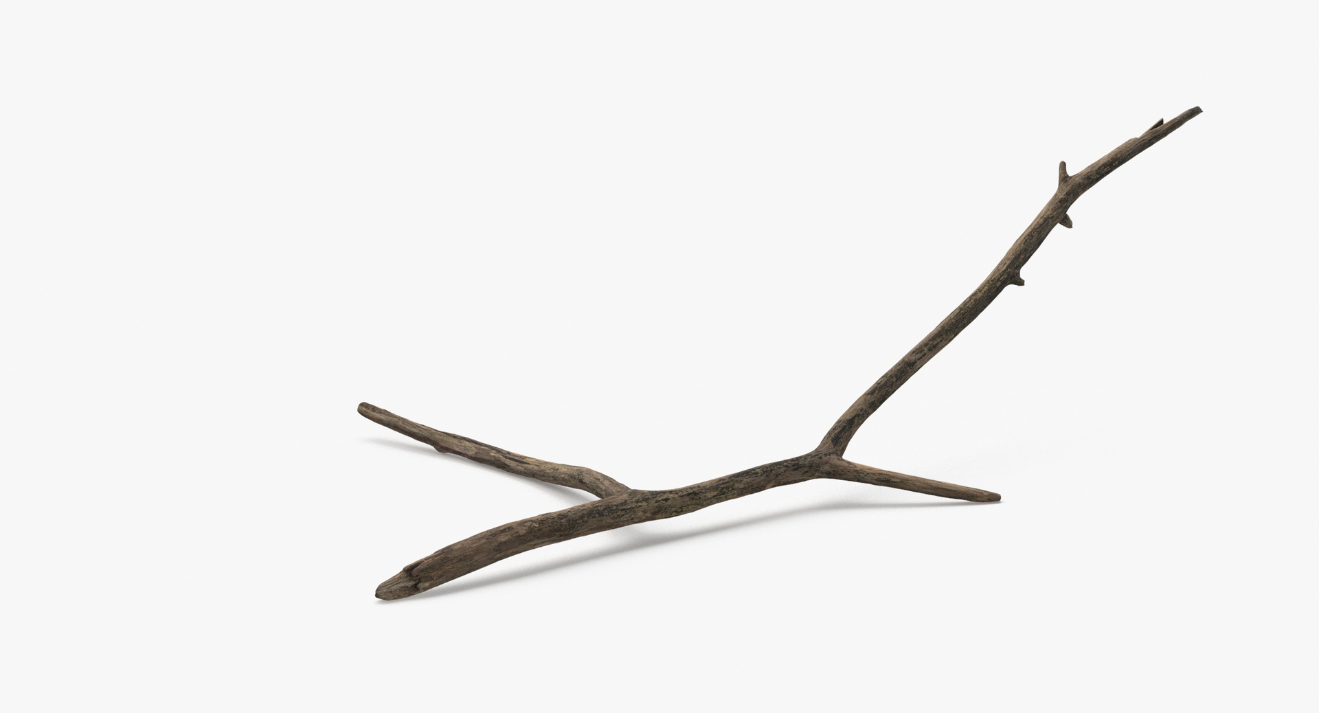 Broken Branch 03 3D - TurboSquid 2217739