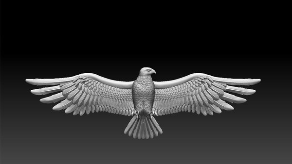 3D eagle model - TurboSquid 1957599